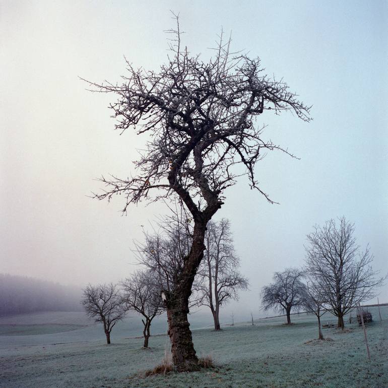 BERLIN PHOTOGRAPHER FLORIAN REISCHAUER | Joanne Intrator